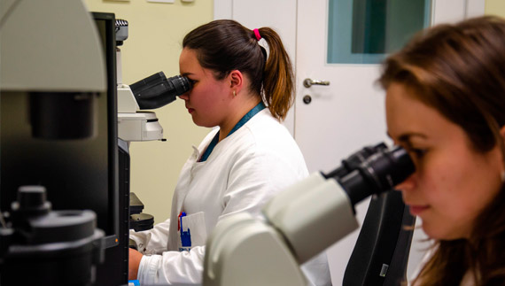 Linhas de Pesquisa – LAPAPI